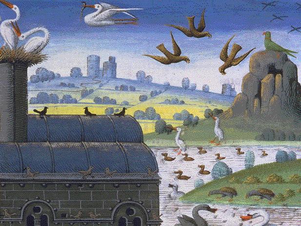 BnF - Tous les savoirs du monde : Le livre des proprietes des choses de ... BnF - Tous les savoirs du monde : Le livre des proprietes des choses de ...